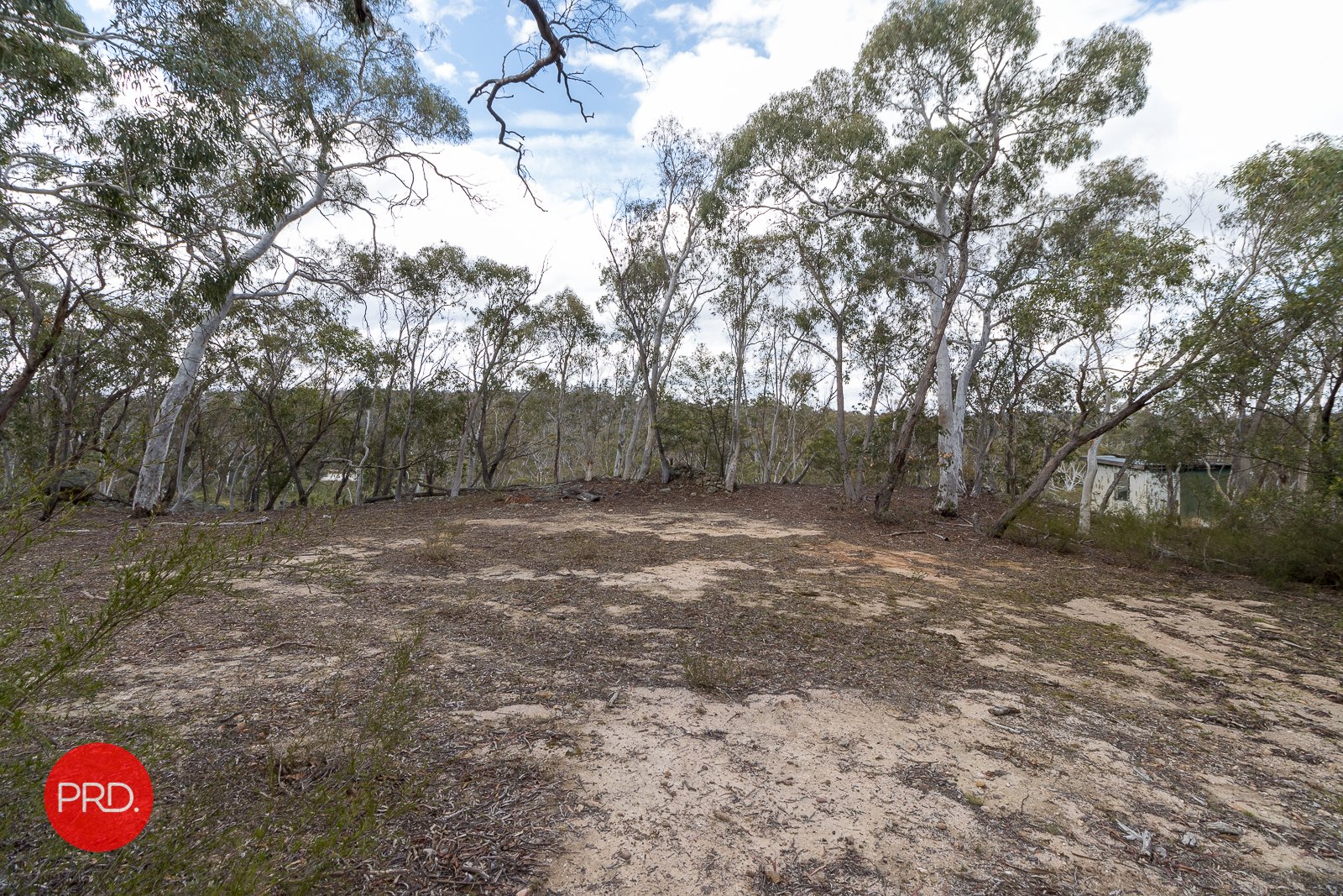 113 Mayfield Road, LARBERT NSW 2622