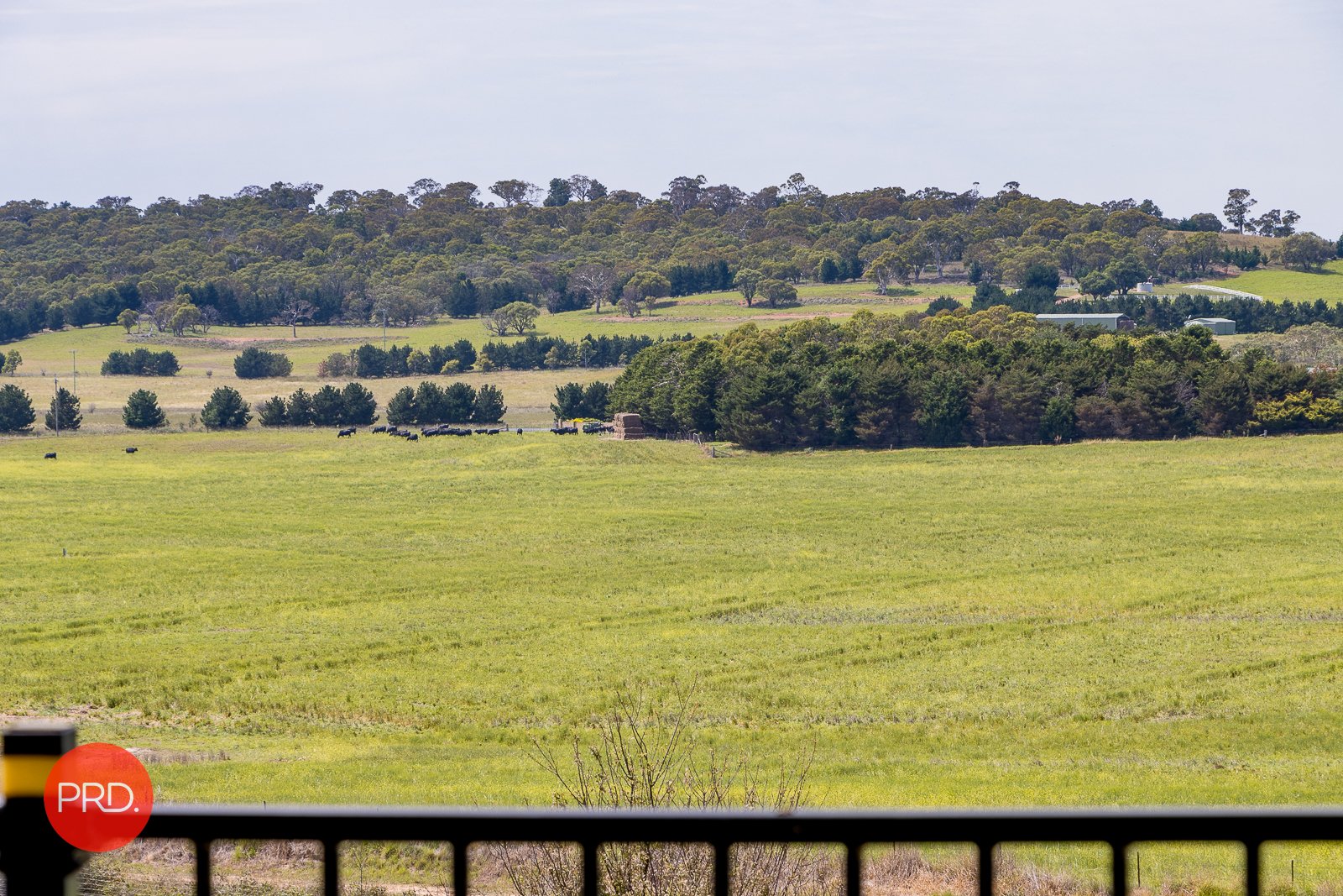 12 Goulburn Street, TARAGO NSW 2580