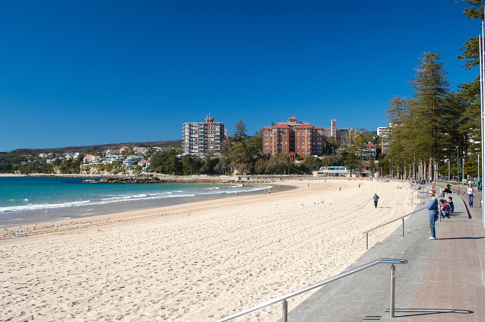 Unit 15/41 Roseberry Street, Manly Vale NSW 2093