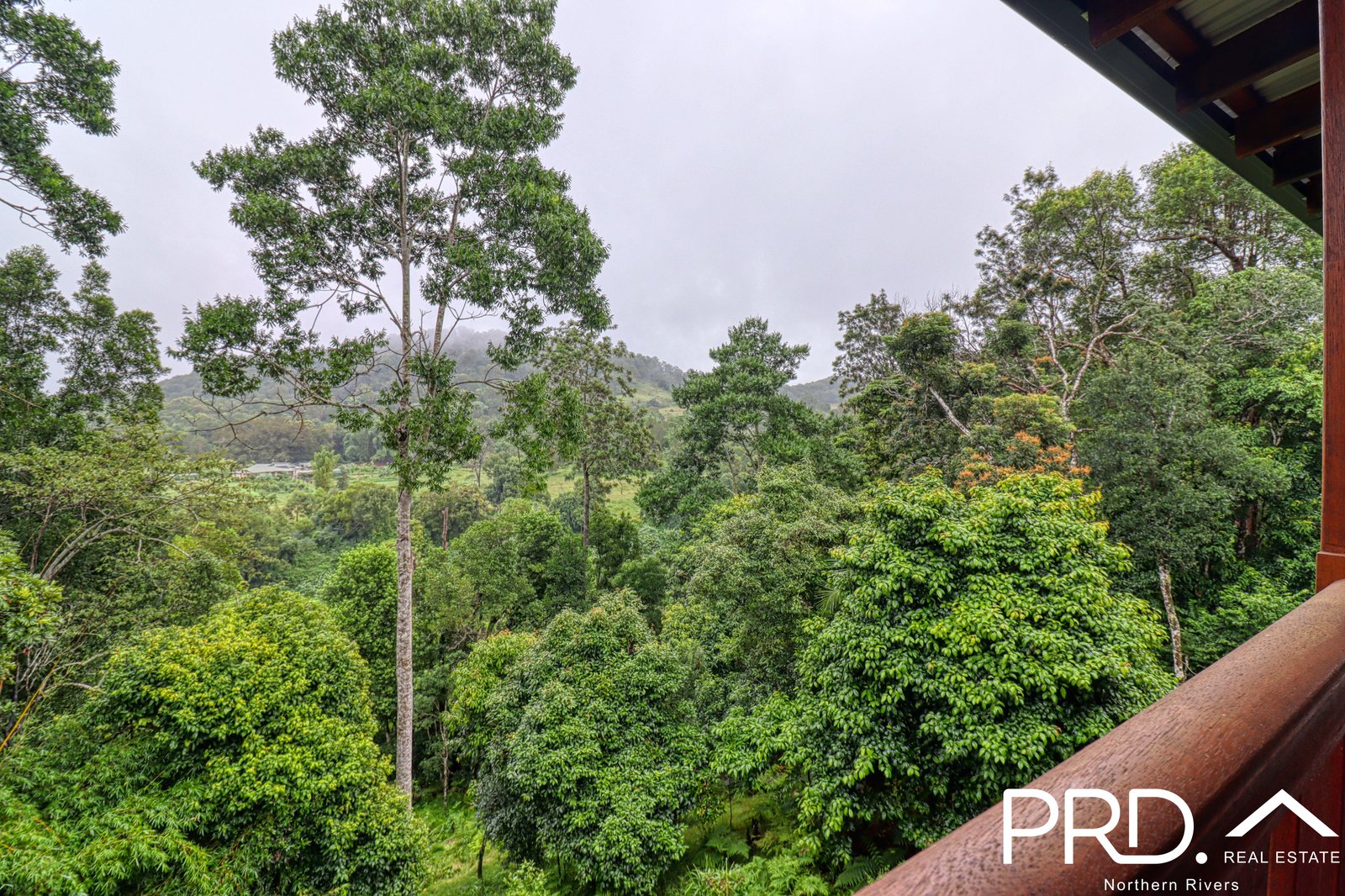 24 Nimbin Street, THE CHANNON NSW 2480