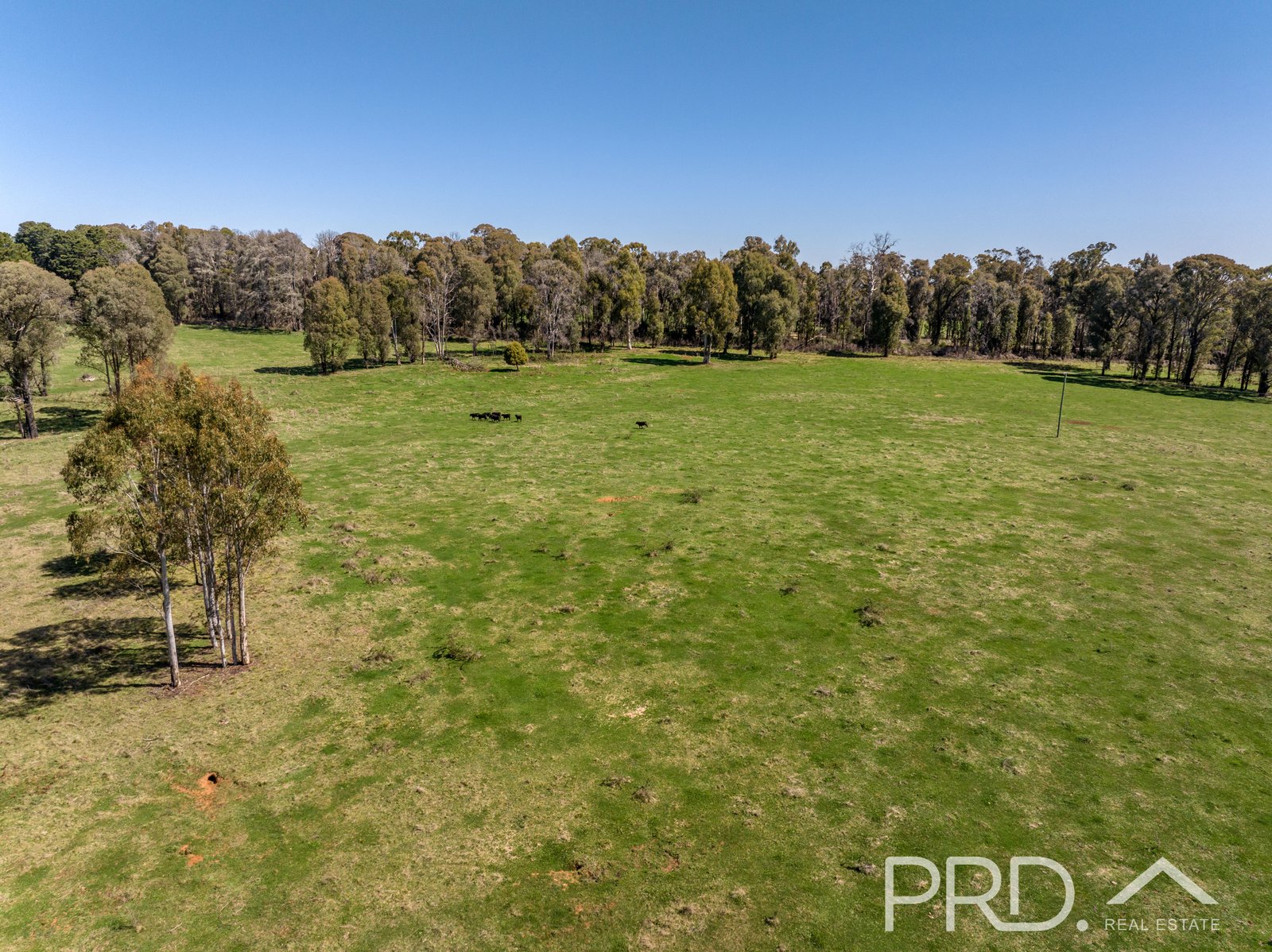 2836 - 2860 Batlow Road, KUNAMA NSW 2730