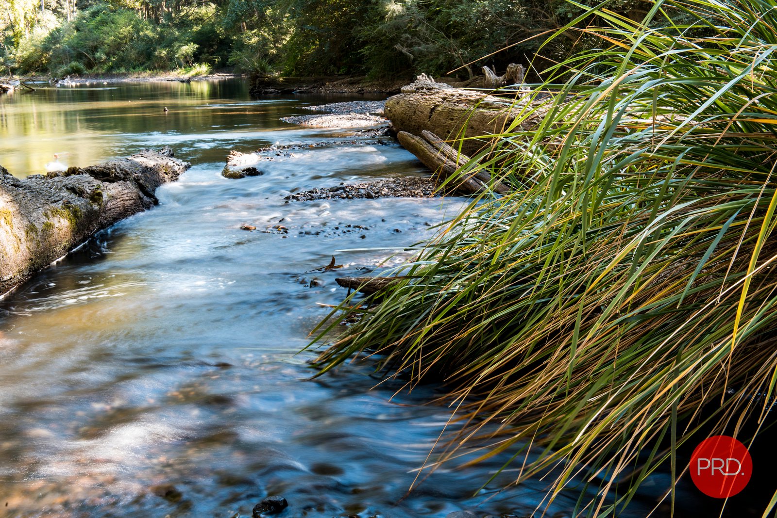 38 East Bank Road, CORAMBA NSW 2450