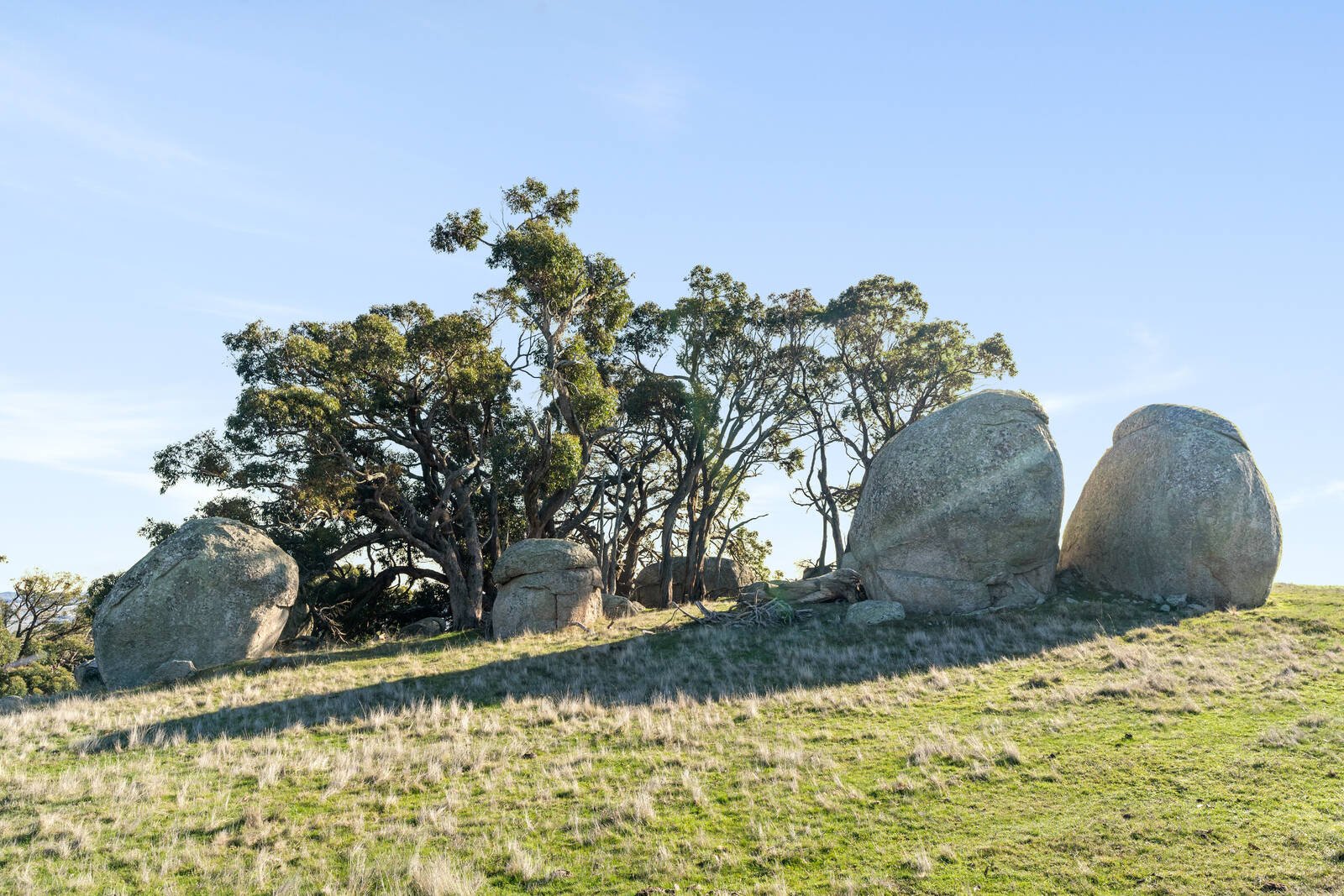 995 Lancefield-Pyalong Road, Nulla Vale, VIC, 3435 | RT Edgar