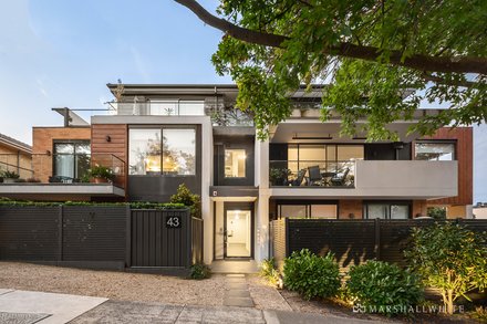 Julian Papas | Estate Agent Boroondara | Marshall White