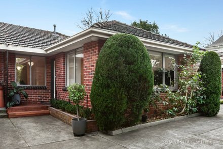 Julian Papas | Estate Agent Boroondara | Marshall White
