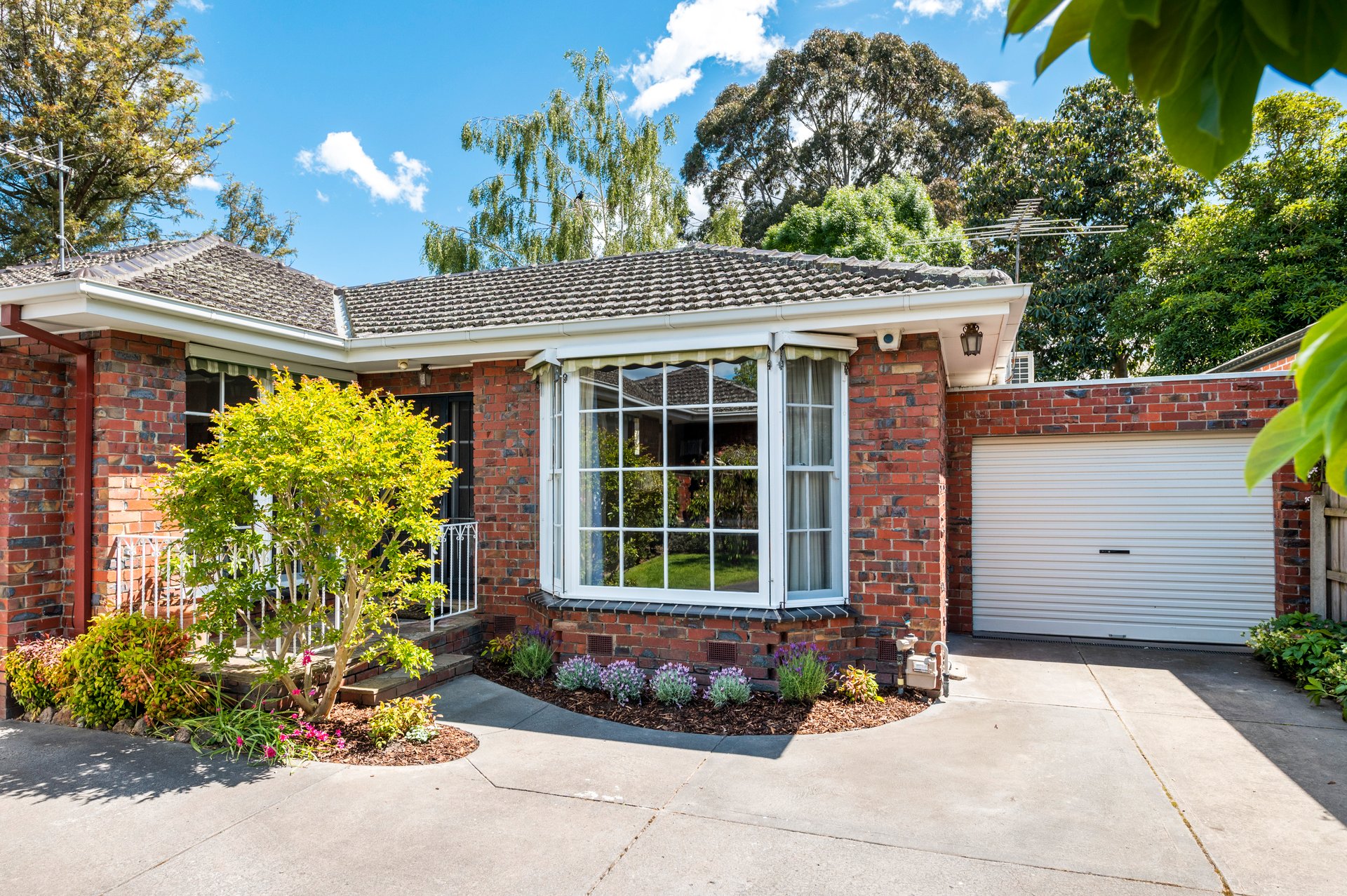 3/19 Gordon Street, Mont Albert VIC 3127