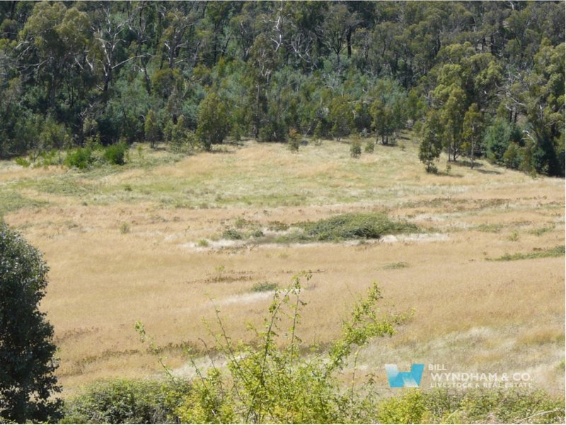 00 Scrubby Creek Track, Omeo, VIC 3898 - Mixed Farming for Sale
