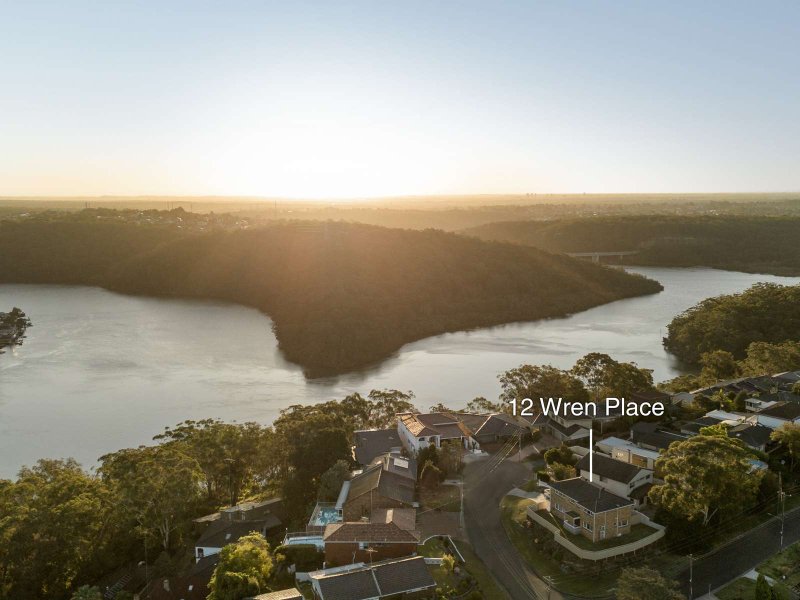 12 Wren Place, LUGARNO NSW 2210