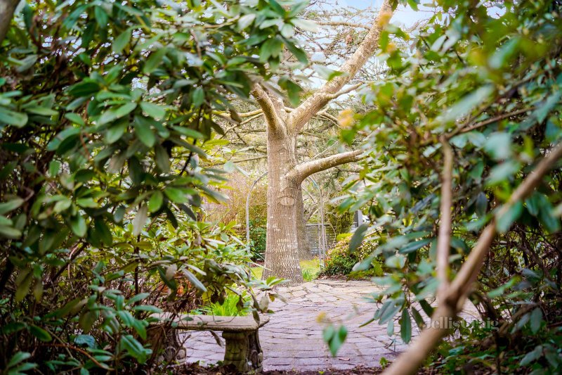 4-6 Brian Road, Woodend, VIC 3442 - House for Sale