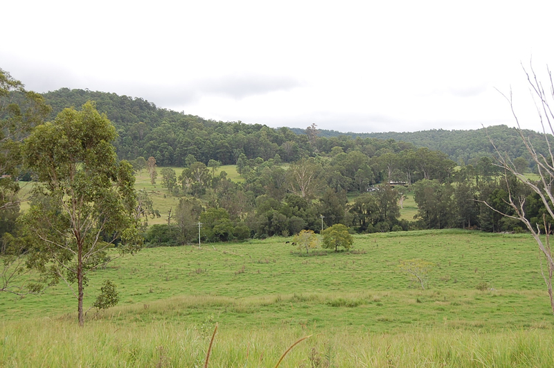 544 Duck Creek Rd OLD BONALBO NSW 2469