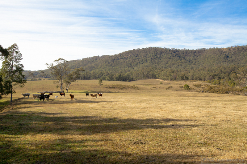 722 Lambs Valley rd LAMBS VALLEY NSW 2335